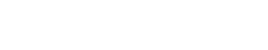 TRU 2024 Rider Survey - Transportation Riders United